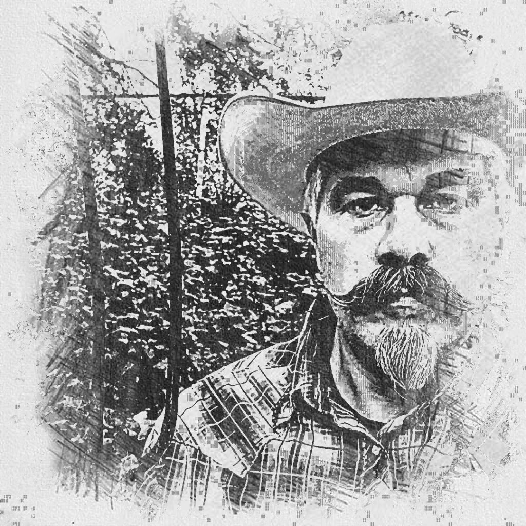 Suburban Sodbuster – Backyard beekeeping and organic gardening in our ...